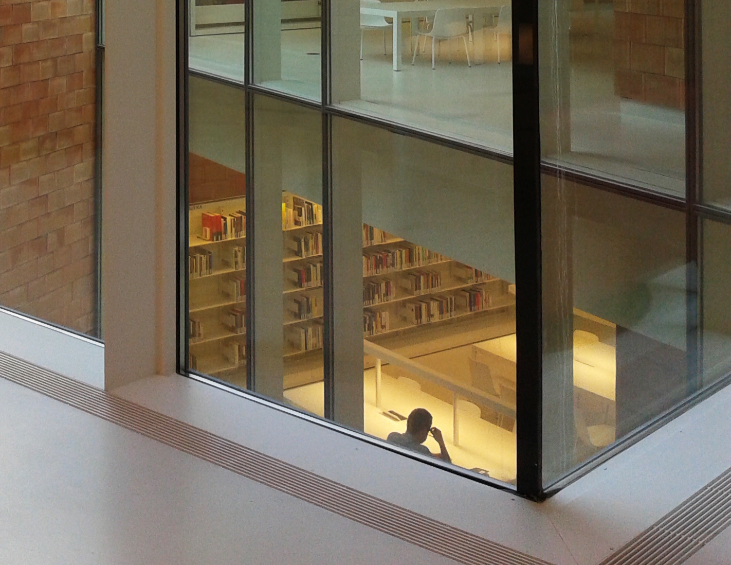 Dematerialized steel curtain wall (018) | facad3s